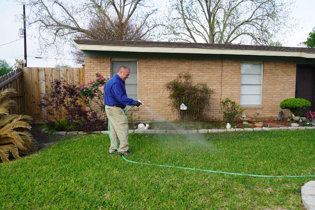 Top-Rated Pest Control Services - Bugmobiles South Texas